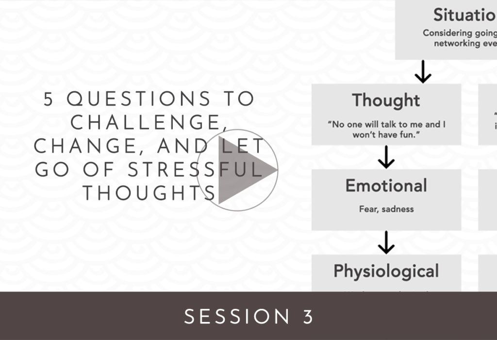 Stress Detox Part Two - Sandy Woznicki | Stress and Anxiety Coach